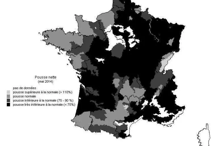 pousse | Agriculture Massif central | PAMAC