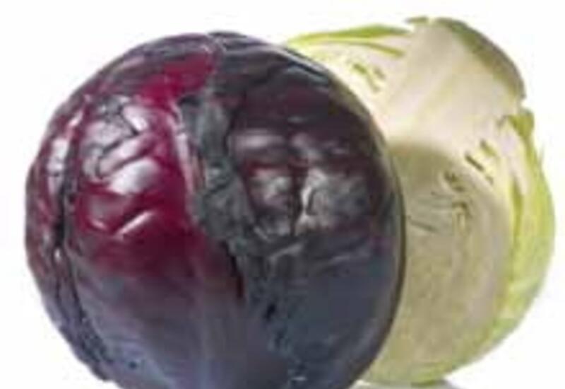 Proposer des choux rouges et blancs coupés en deux | Réussir fruits ...