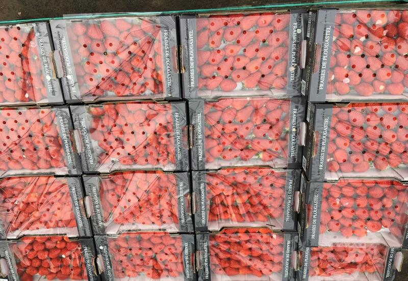 Bretagne | La fraise de Plougastel veut obtenir une IGP | Réussir ...