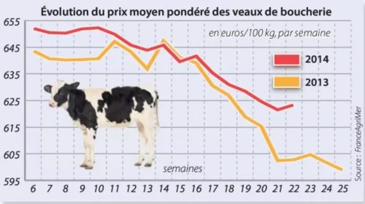 La filière Veau de boucherie peine à retrouver le chemin de la ...