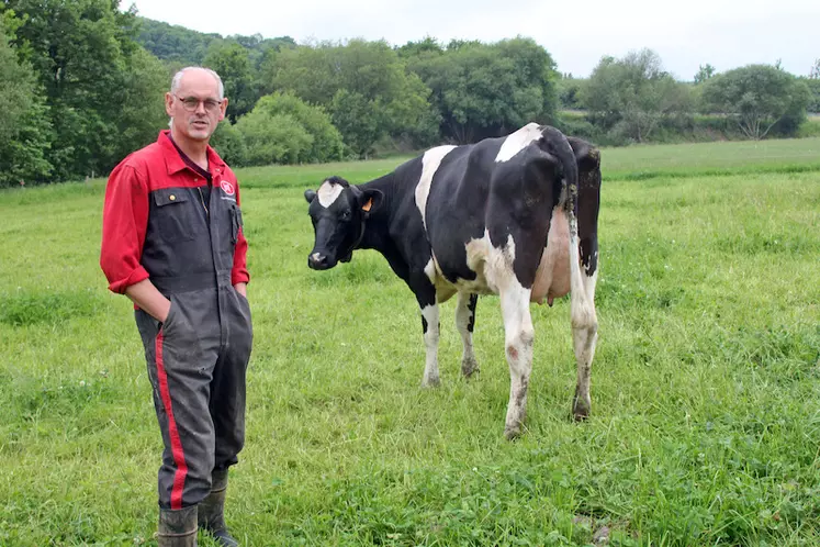 En cas de fortes chaleurs, faites-vous pâturer vos vaches uniquement la ...